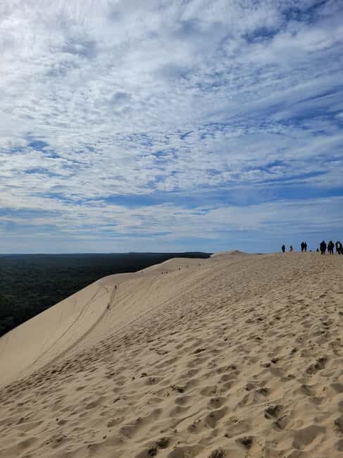 From Bordeaux: Dune du Pilat, Arcachon Bay and Oyster Village Private Tour - Transportation & Group Size