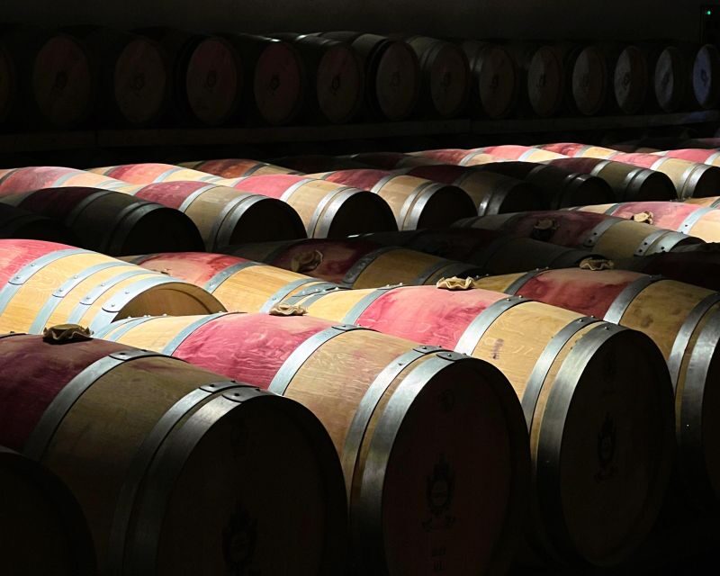 From Bordeaux: Essential Morning Tour with Wine Tasting - Reviews and Real Traveler Insights