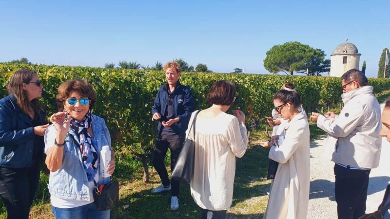 From Bordeaux: Half-Day Saint-Émilion Tour and Wine Tasting - FAQ