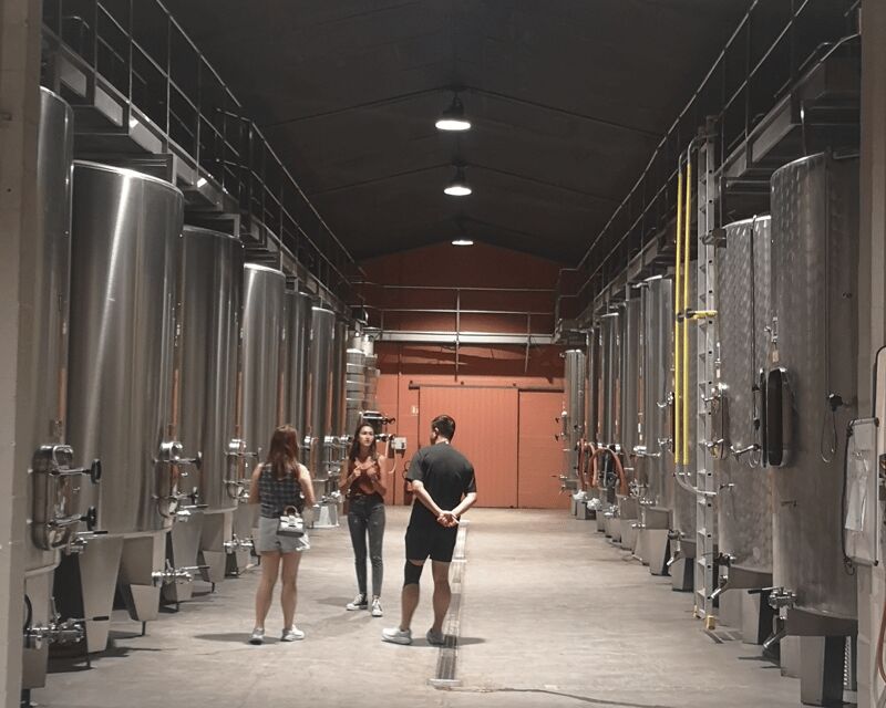 From Bordeaux: Médoc & Margaux Wine Tour Classified Growths - Key Points  