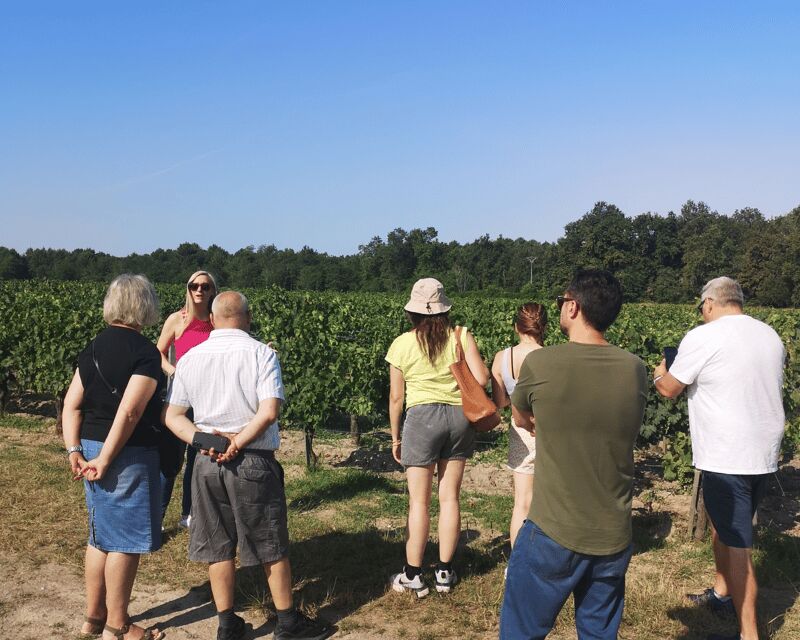 From Bordeaux: Médoc & Margaux Wine Tour Classified Growths - Why Choose This Bordeaux Wine Tour? A Practical Breakdown