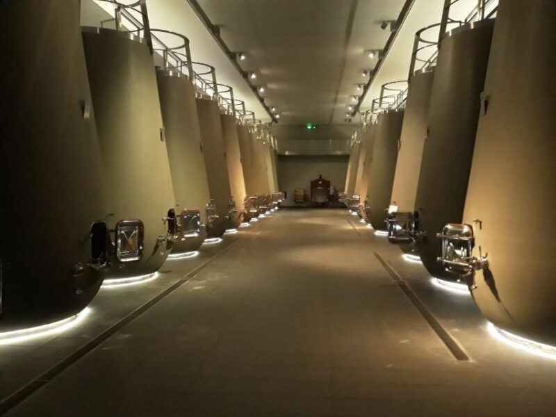 From Bordeaux: Médoc Vineyard and Chateau Tour by Sidecar - Final Thoughts  