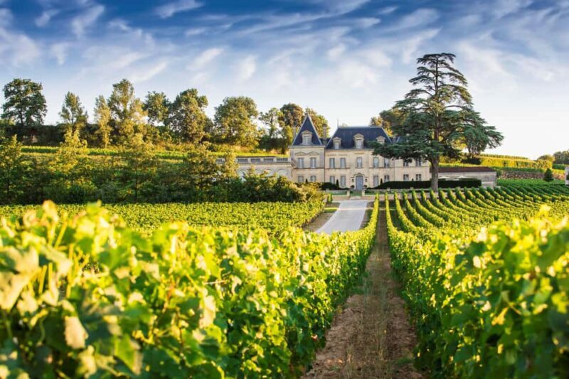 From Bordeaux: Private Wine Tour to Saint-Émilion - Key Points