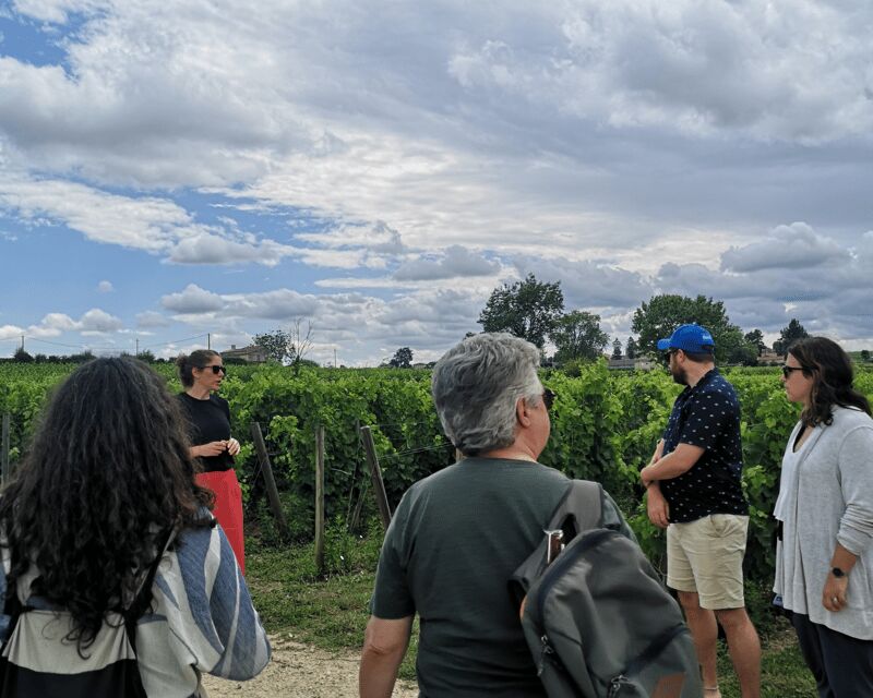 From Bordeaux: Saint-Émilion Half-Day Tour with Wine Tasting - Key Points