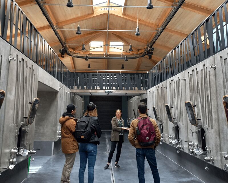 From Bordeaux: Saint-Émilion Half-Day Tour with Wine Tasting - What to Expect from the Tour