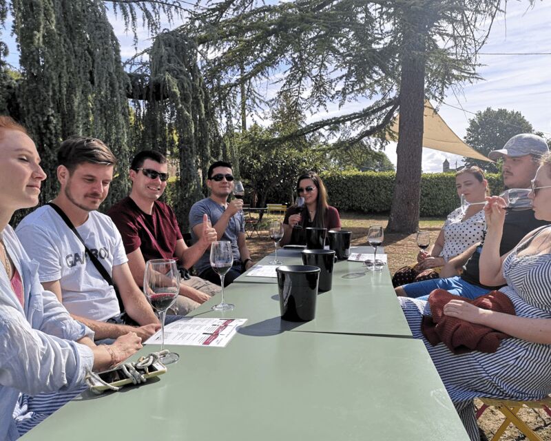 From Bordeaux: Saint-Émilion Half-Day Tour with Wine Tasting - Who Should Consider This Tour?