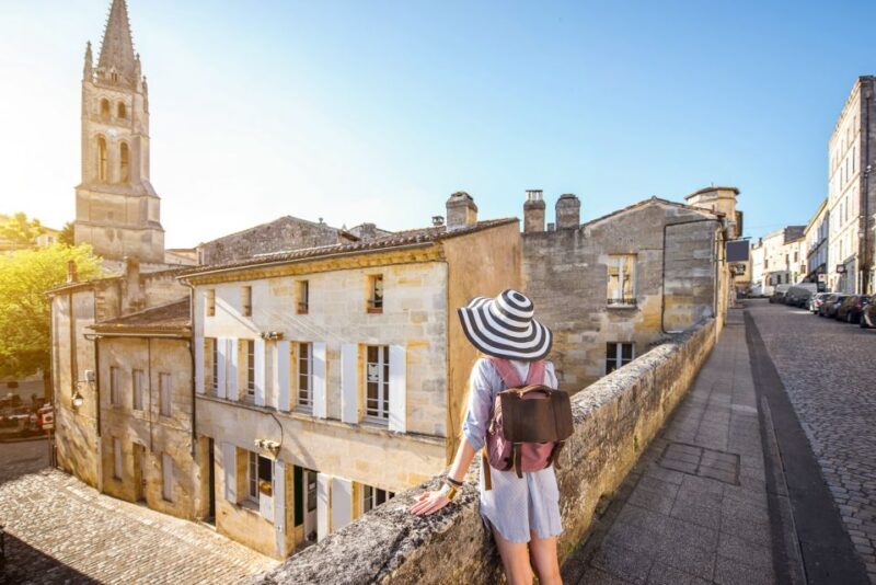 From Bordeaux: St. Emilion Village Half-Day Wine Tour - Introduction