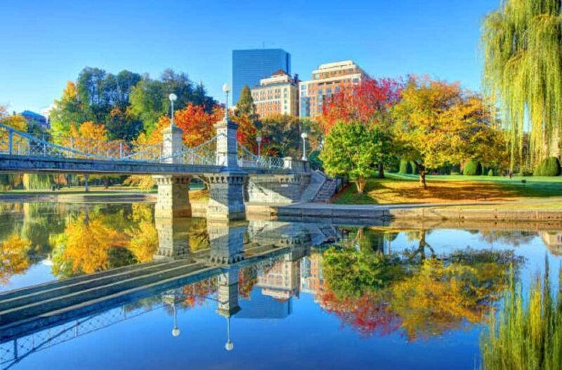 From Boston:Public Garden,Beacon Hill&More Half Day tour - A Detailed Look at the Tour