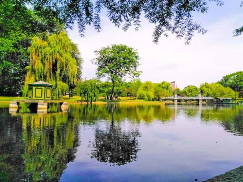 From Boston:Public Garden,Beacon Hill&More Half Day tour - Practical Tips and Recommendations