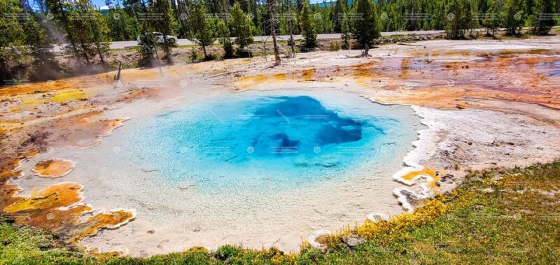 From Bozeman: Exclusive Yellowstone Tour (2 Days & 1 Night) - Why This Tour Offers Great Value