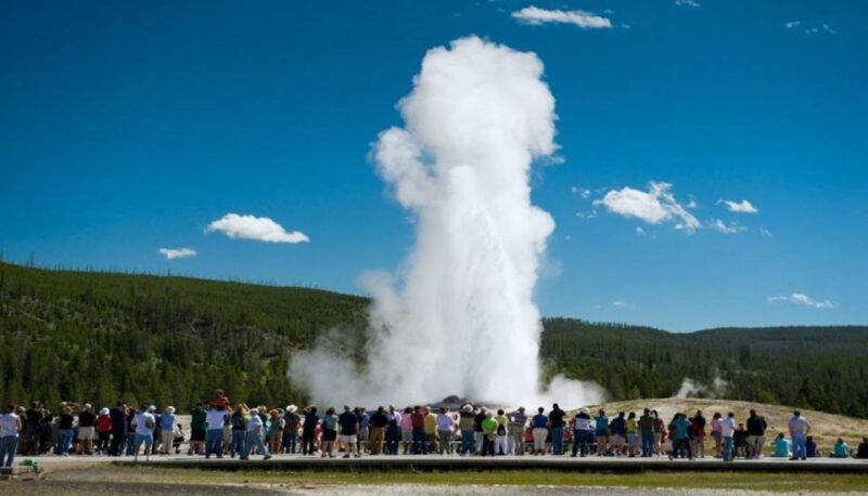 From Bozeman: Yellowstone Day Tour (Lower Loop) - Practical Tips for the Tour