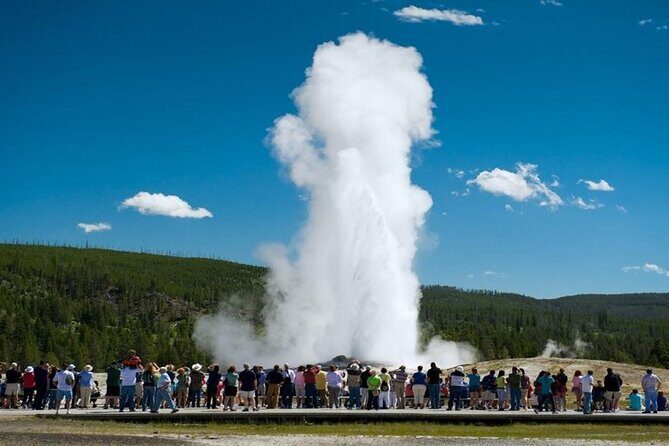 From Bozeman Yellowstone Full Day Tour Lower Loop - Why This Tour Offers Great Value
