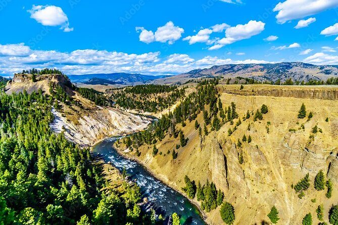 From Bozeman Yellowstone Full Day Tour Upper Loop - An In-Depth Look at the Bozeman to Yellowstone Upper Loop Tour