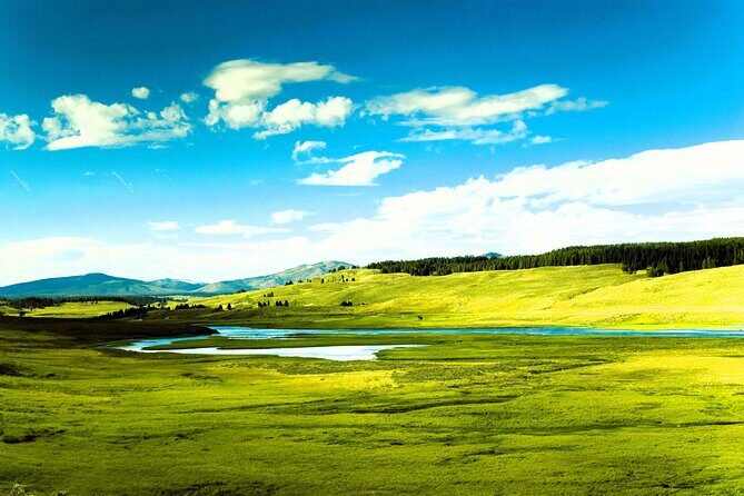 From Bozeman Yellowstone Full Day Tour Upper Loop - Who Is This Tour Best For?