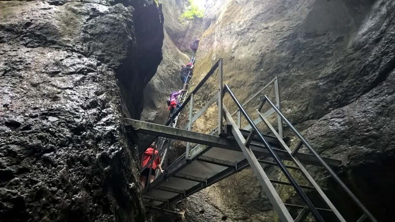 From Brasov: Day Trip to the Seven Ladders Canyon - Key Points