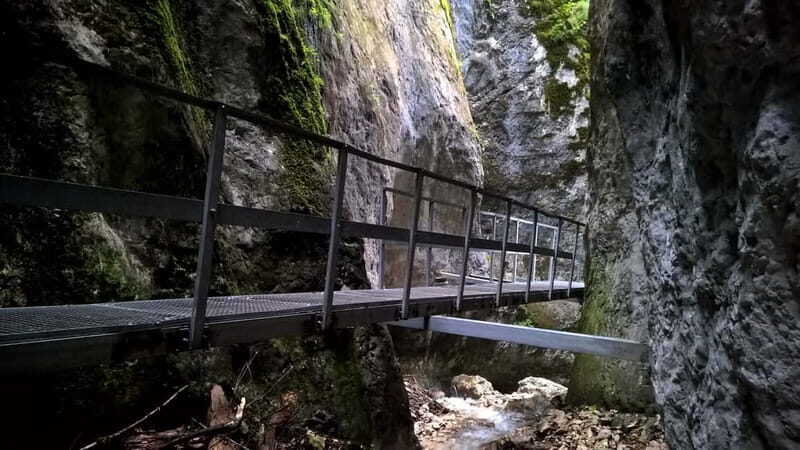 From Brasov: Day Trip to the Seven Ladders Canyon - An In-Depth Look at the Seven Ladders Canyon Tour