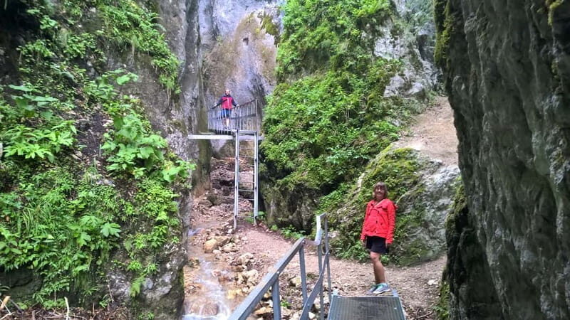 From Brasov: Day Trip to the Seven Ladders Canyon - The Value of This Tour
