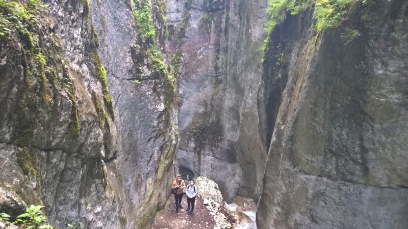 From Brasov: Day Trip to the Seven Ladders Canyon - Who Should Consider This Tour?