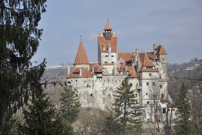 From Brasov: Discover Bran Castle and Rânov Fortress - An Overview of the Experience