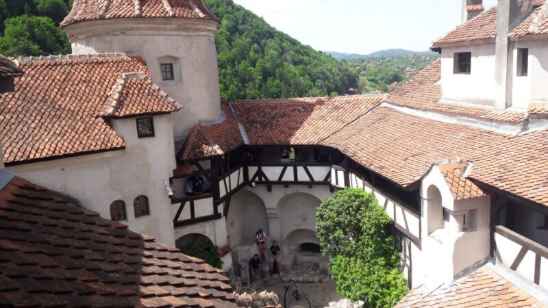 From Brasov: Peles Castle, Bran Castle & Cantacuzino Castle - Things to Keep in Mind