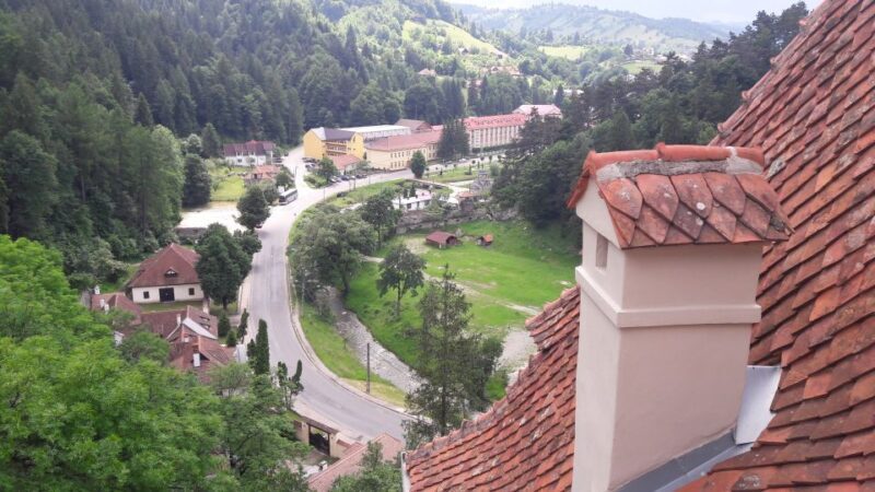 From Brasov: Peles Castle, Bran Castle & Cantacuzino Castle - Authentic Experiences from Reviewers