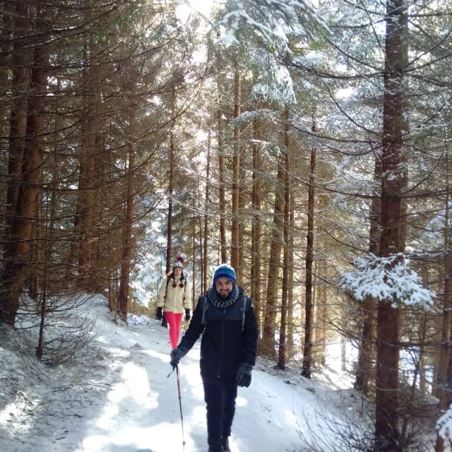 From Brasov: Piatra Craiului National Park Private Day Tour - Who Is This Tour Perfect For?