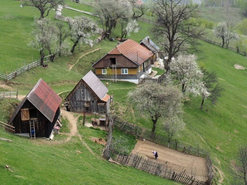 From Brasov: Romanian Mountain Villages Day Tour - Practical Details: What to Expect