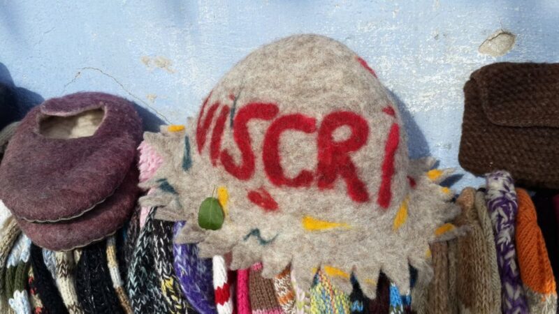 From Brasov: Sighisoara and Viscri UNESCO Day Tour - An In-Depth Look at the Tour Experience