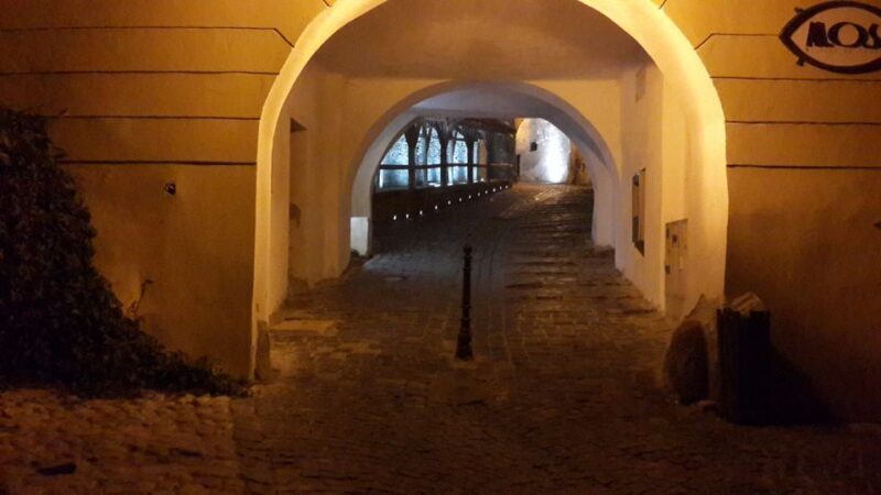 From Brasov: Sighisoara and Viscri UNESCO Day Tour - The Overall Experience