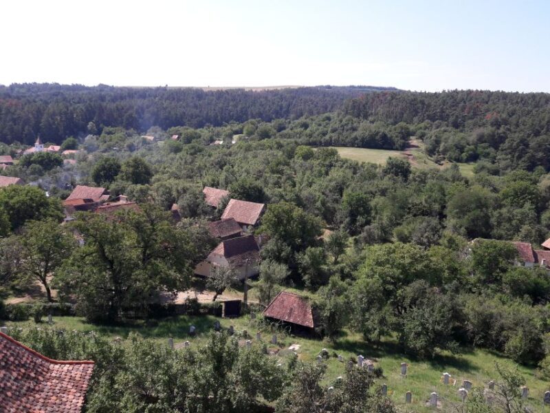 From Brasov: Sighisoara, Viscri, and Rupea Unesco Day Trip - Frequently Asked Questions