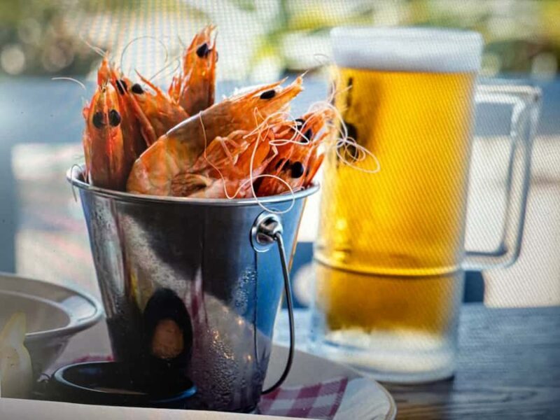 From Brisbane: Australia Zoo & Coastal Delights - Transportation and Timing — Why They Matter