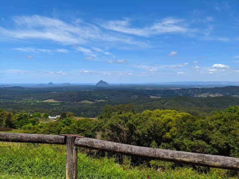 From Brisbane: Day Trip to Noosa, Glass House Mtns and Zoo - Final Thoughts: Who Should Consider This Tour?