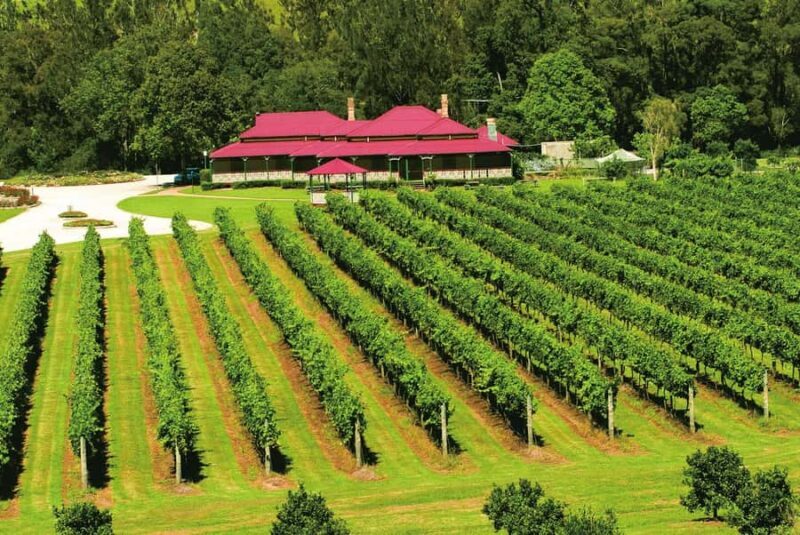 From Brisbane: Lamington National Park Rainforest Tour - Final Thoughts