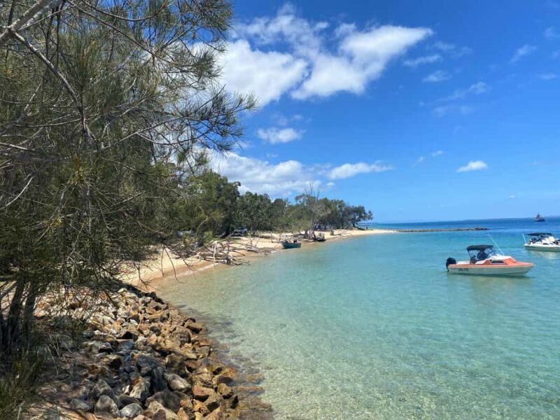 From Brisbane: North Stradbroke Island Wildlife Adventure - FAQ