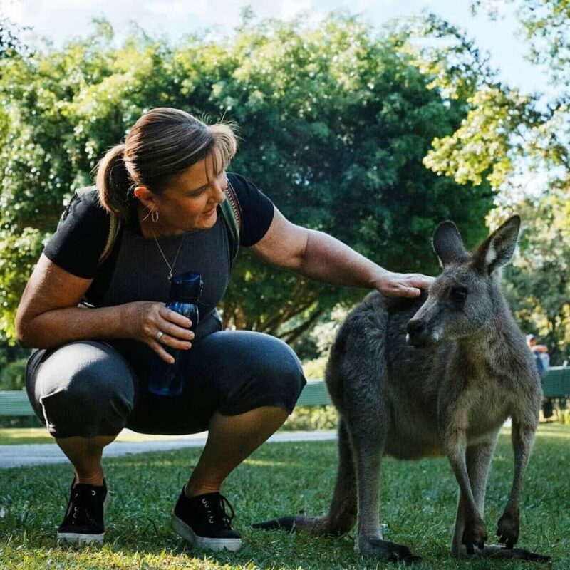 From Brisbane: Queensland Zoo and Sunshine Coast Day Trip - The Experience and Practicalities