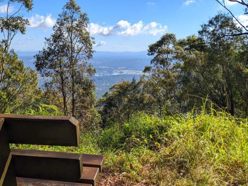 From Brisbane: Tamborine Mountain and Paradise Point Tour - Return Journey and Overall Experience