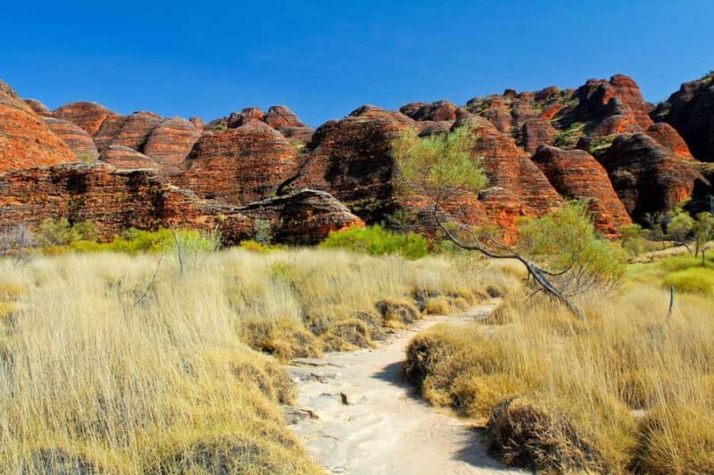 From Broome: Bungle Bungle Explorer Scenic Flight - The Itinerary in Detail