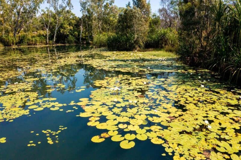 From Broome: Mitchell Falls Scenic Flight - Dry Season - The Sum Up