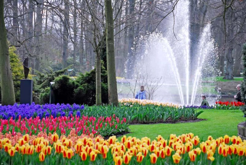 From Brussels: Keukenhof & Windmills Full-Day Guided Tour - Practical Details and Value