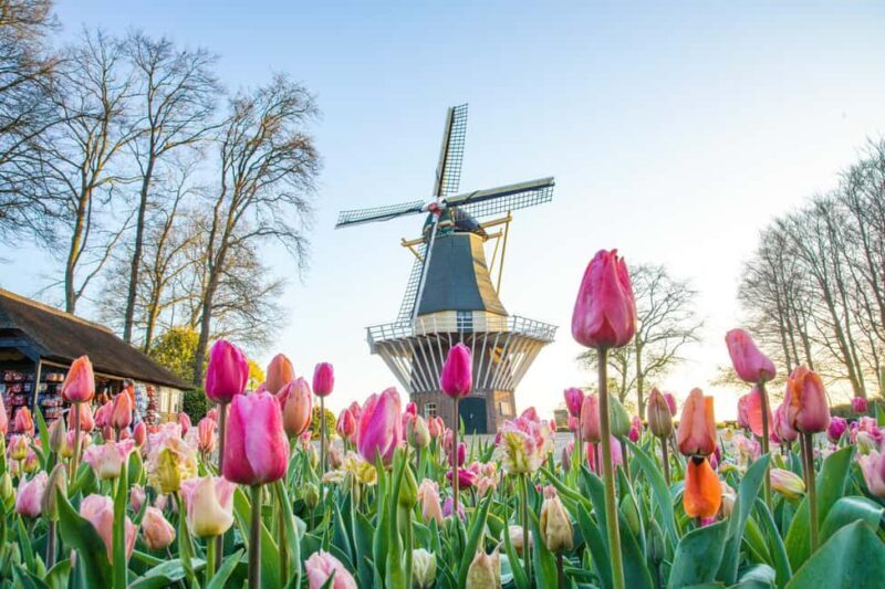 From Brussels: Keukenhof & Windmills Full-Day Guided Tour - The Sum Up: Who Is This Tour Best For?