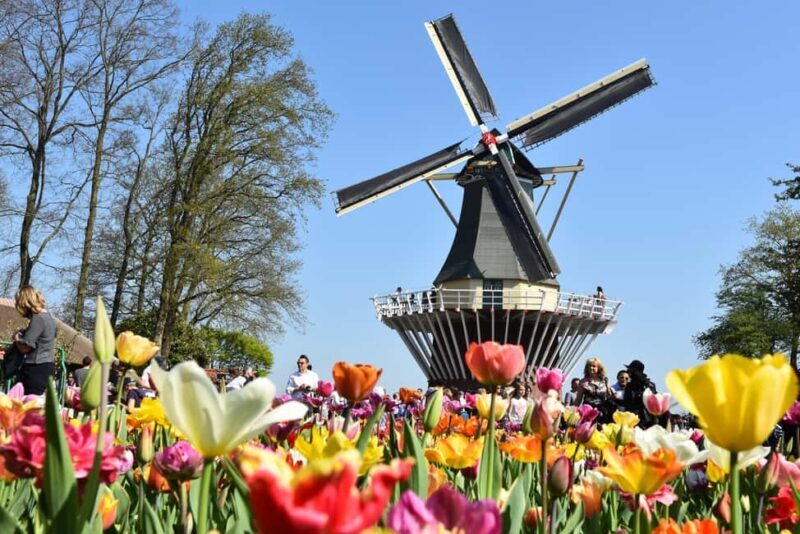From Brussels: Keukenhof & Windmills Full-Day Guided Tour - FAQ