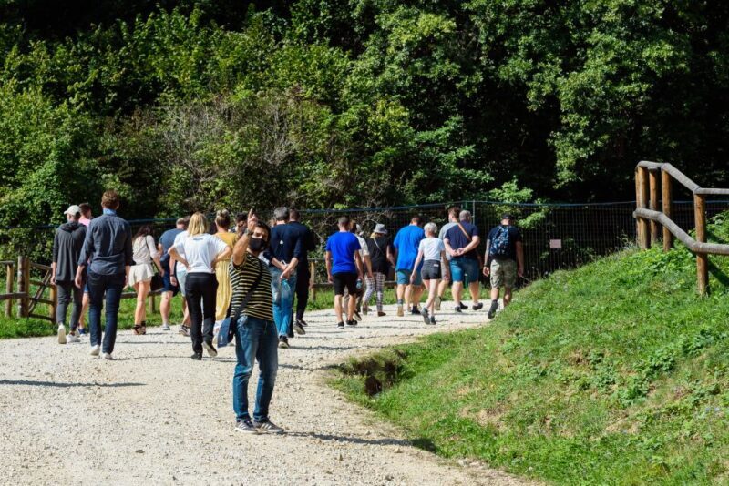 From Bucharest: Bear Sanctuary and Dracula Castle Day Tour - What Makes This Tour Worth It?