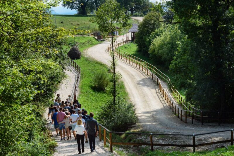 From Bucharest: Bear Sanctuary and Dracula Castle Day Tour - Who Should Consider This Tour?