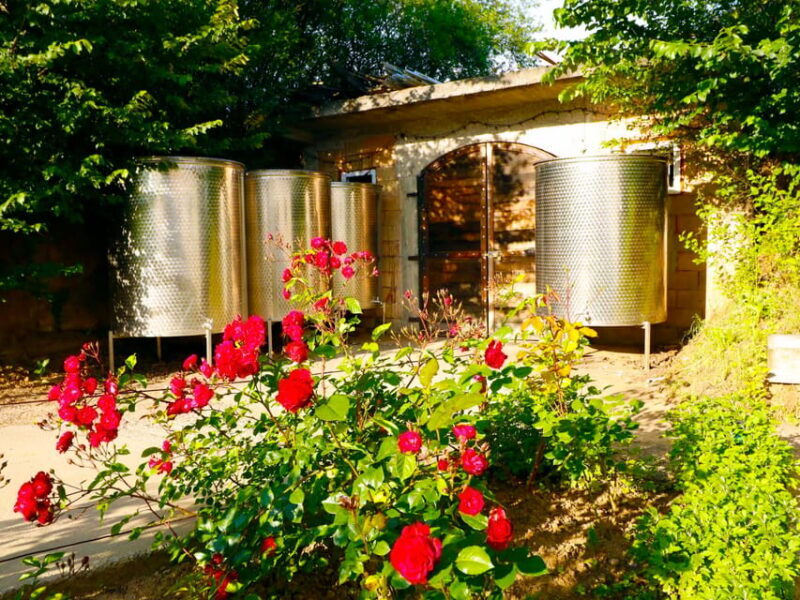 From Bucharest: Exclusive Dealu Mare Wine Tasting Tour - Who Would Love This Tour?