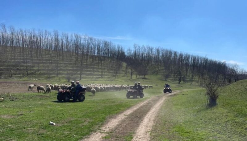 From Bucharest: Forest and Hills ATV Quad Bike Tour - Final Words