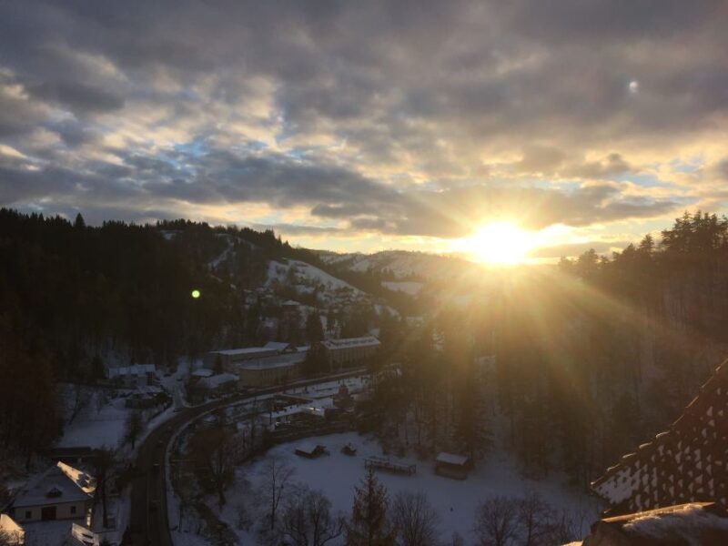 From Bucharest: Pele and Bran Castles Private Tour - FAQ  