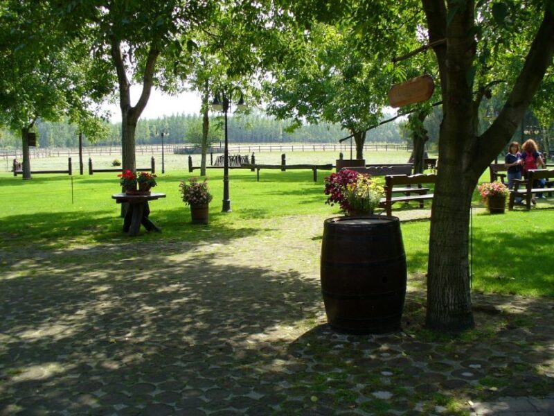 From Budapest: Full-Day Puszta Tour with Lunch and Show - Key Points