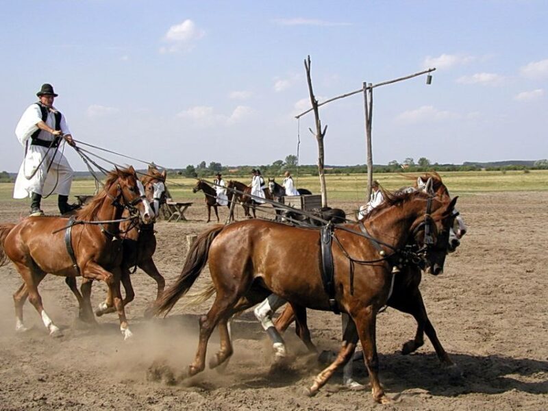From Budapest: Full-Day Puszta Tour with Lunch and Show - Who Should Consider This Tour?