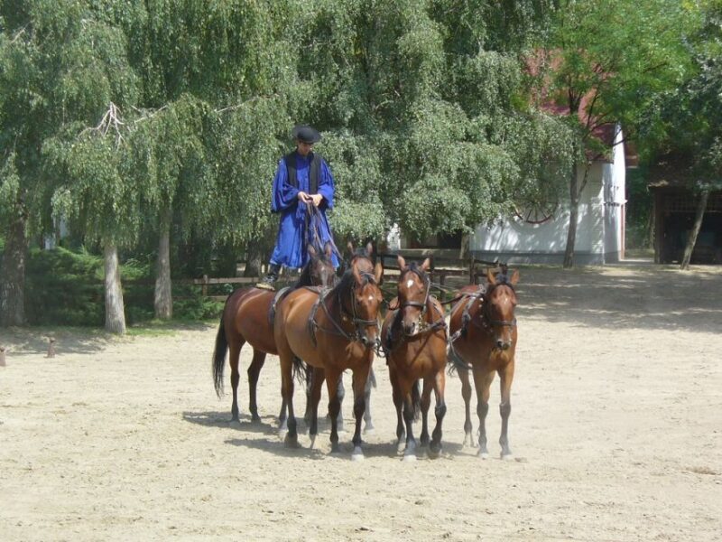 From Budapest: Full-Day Puszta Tour with Lunch and Show - The Sum Up