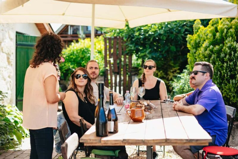 From Budapest: Half-Day Countryside Wine Tour with Meal - Key Points